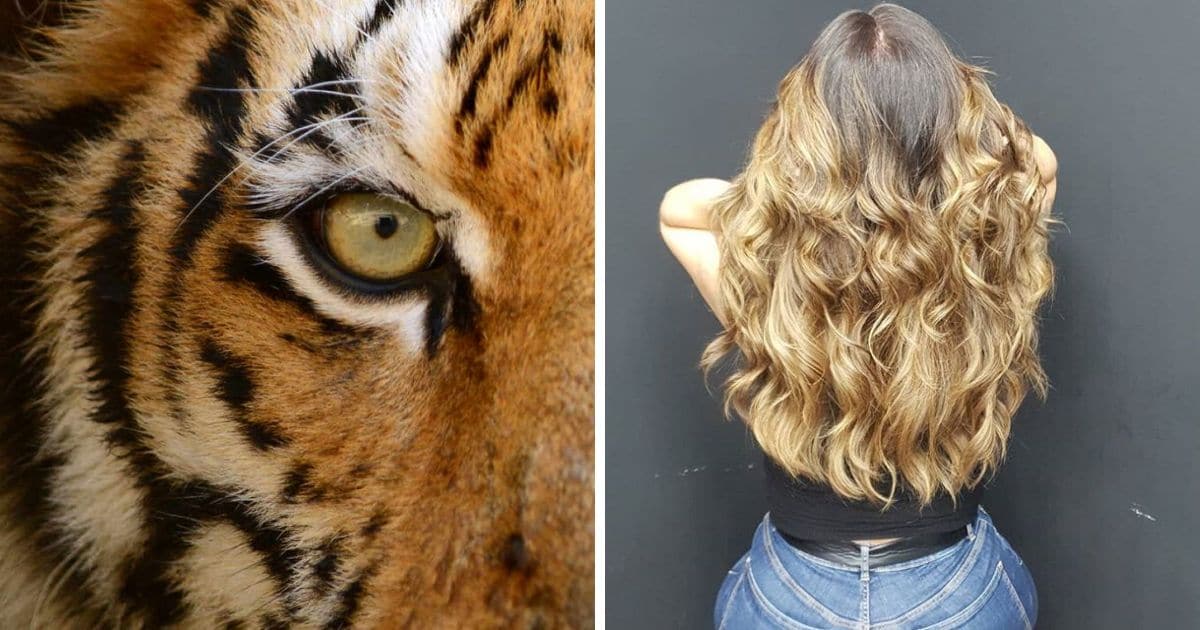 Tiger Eye Hair: la colorazione calda che dona luce alla tua chioma ...