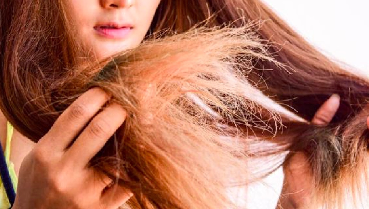 Doppie punte, come tagliarle correttamente a casa